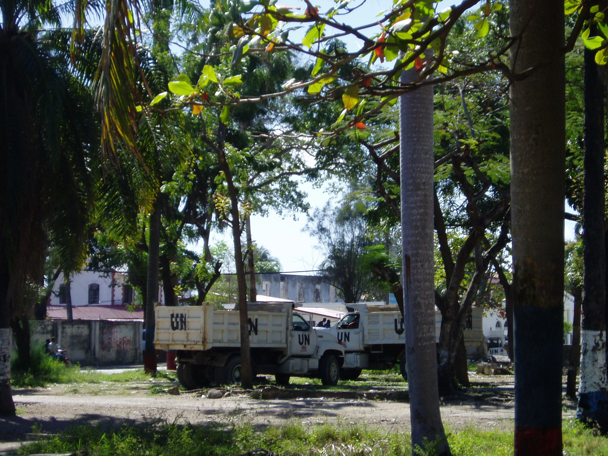 UN approves a ‘Gang Suppression Force’ for Haiti | Unwrapping Development